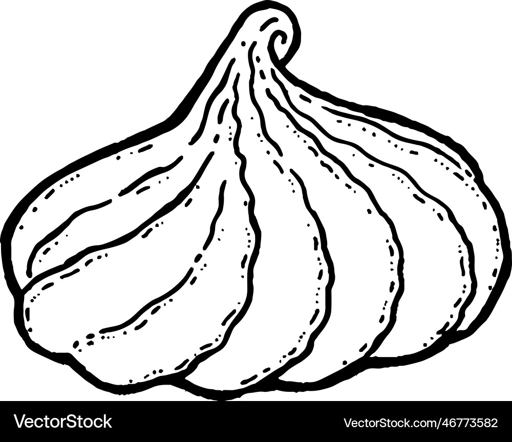Sketch of whipped cream Royalty Free Vector Image