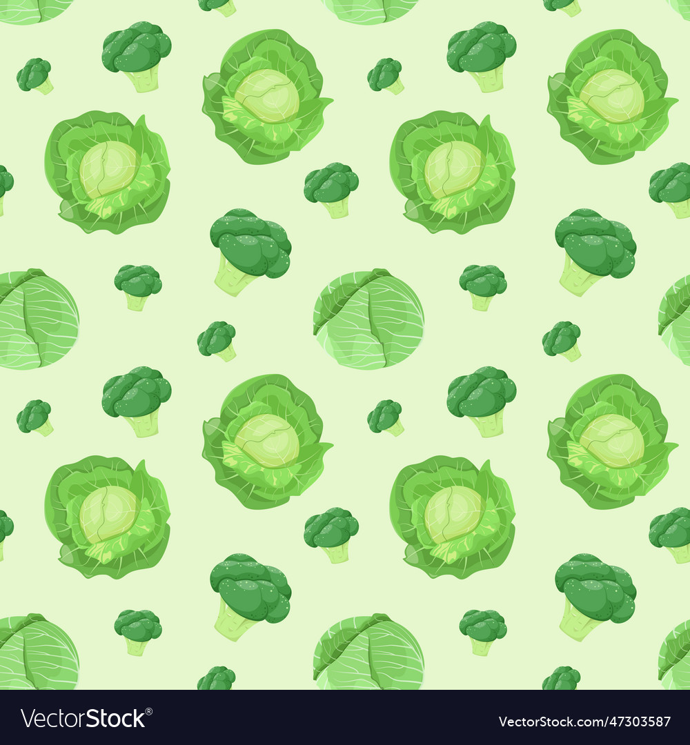Cabbage Royalty Free Vector Image - VectorStock