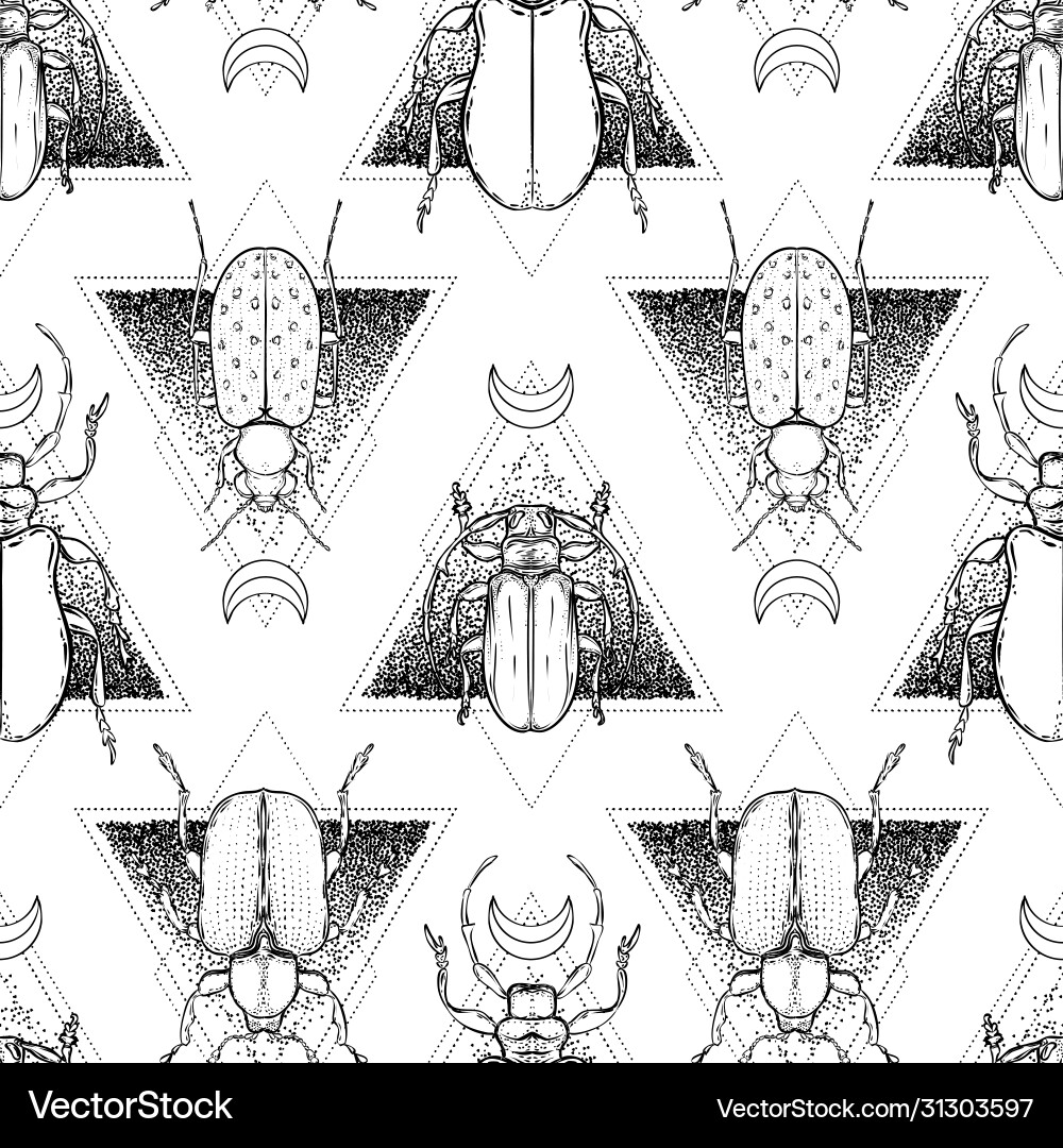 Black and white beetle over sacred geometry Vector Image