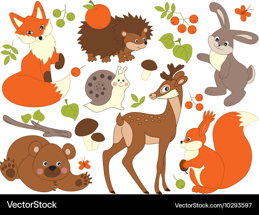Woodland Animals Set Royalty Free Vector Image
