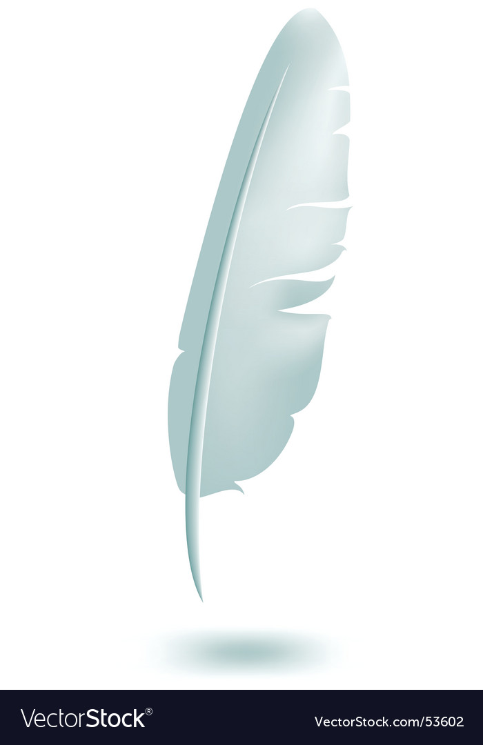 Feather Royalty Free Vector Image - VectorStock