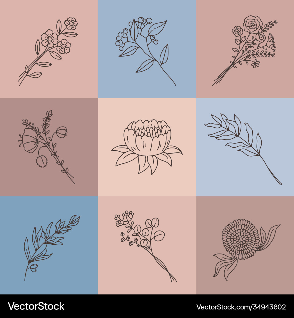 Minimalist line flowers simple poster with Vector Image