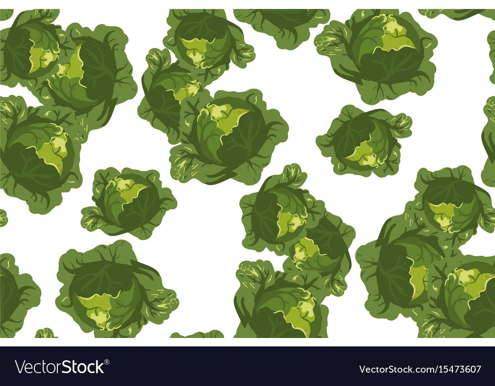 Cabbage seamless pattern on white Royalty Free Vector Image