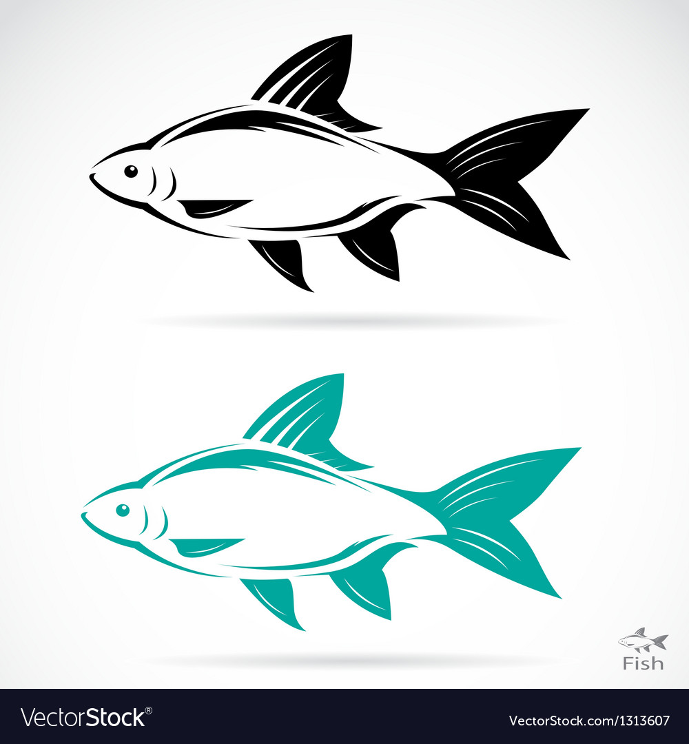 Fish Royalty Free Vector Image - VectorStock