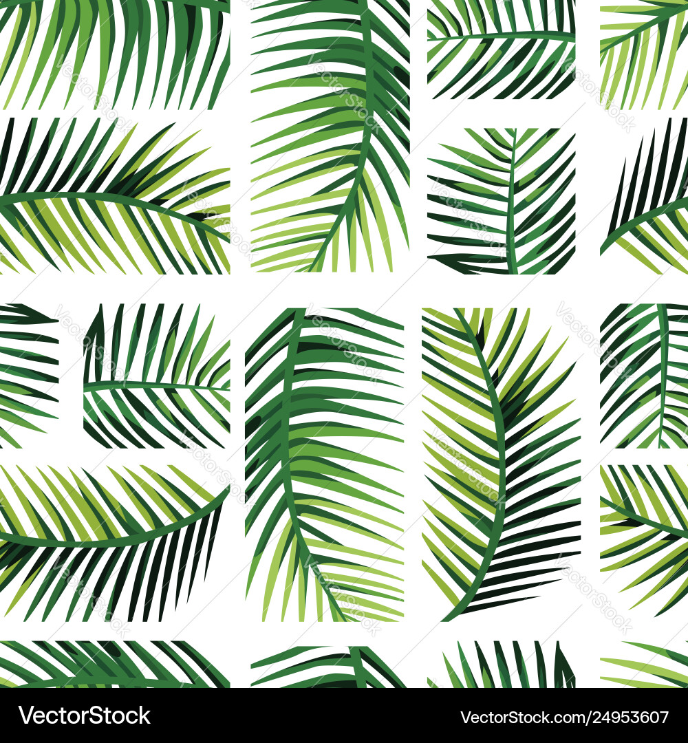 Geometric arrangement palm leaves Royalty Free Vector Image