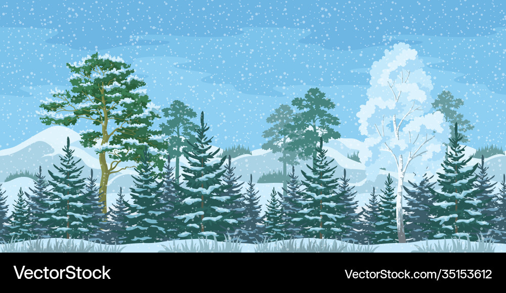 Seamless christmas winter forest landscape Vector Image