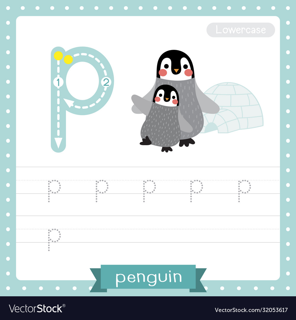 Letter p lowercase tracing practice worksheet of Vector Image