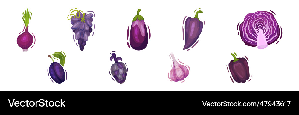 Purple fruit and vegetable with eggplant grapes Vector Image