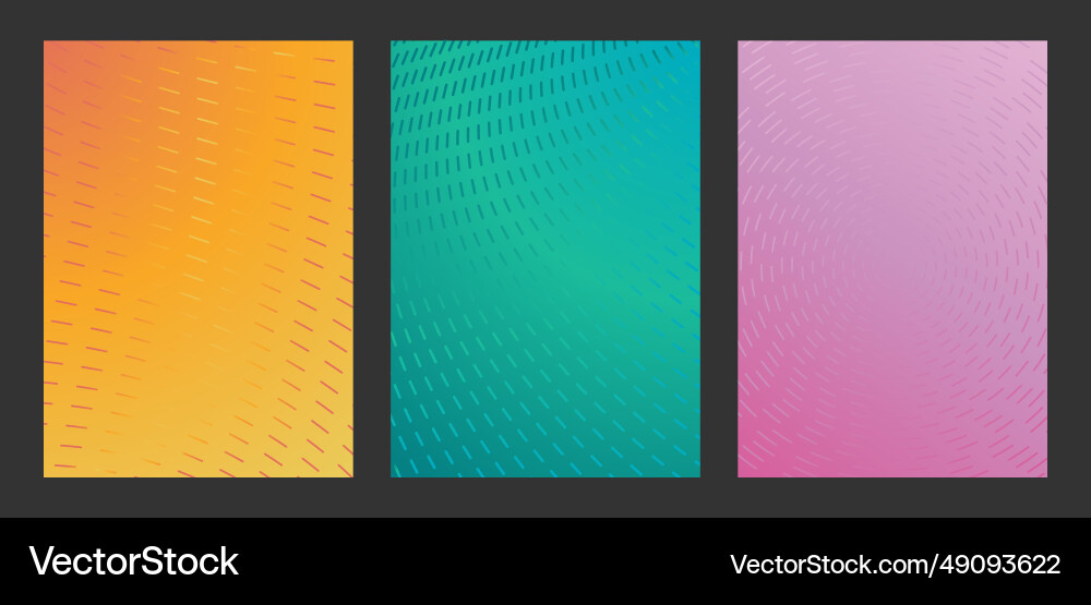 Colorful linear composition a set of layouts for Vector Image