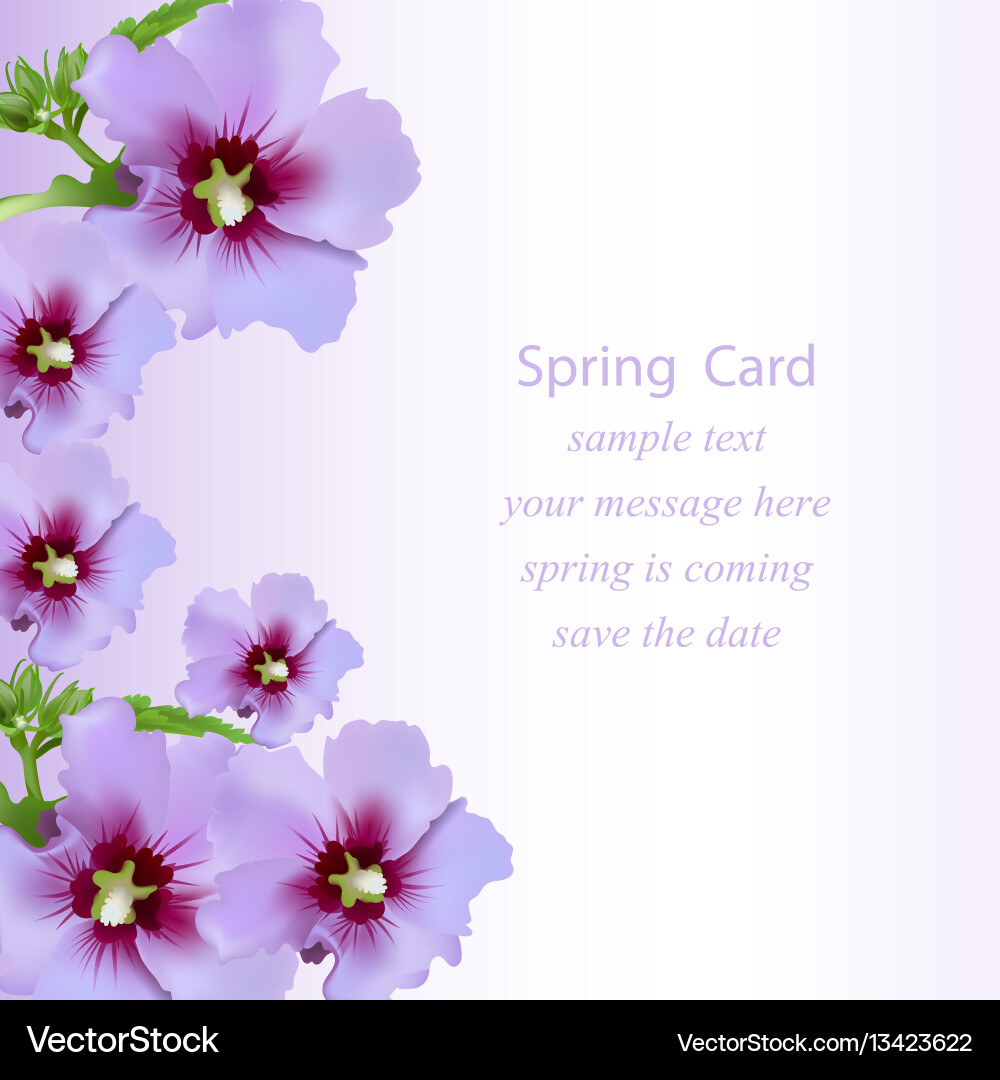 Spring flowers bouquet card background beautiful Vector Image