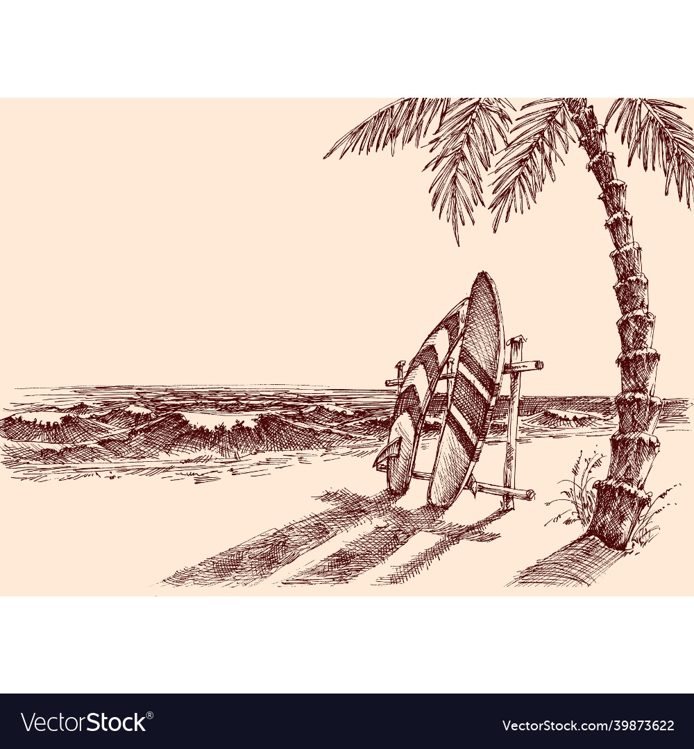 Surfboards Standing In The Sand On The Beach Vector Image