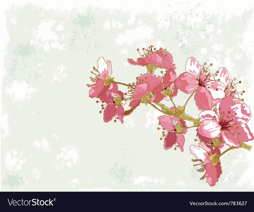 Spring background Royalty Free Vector Image - VectorStock