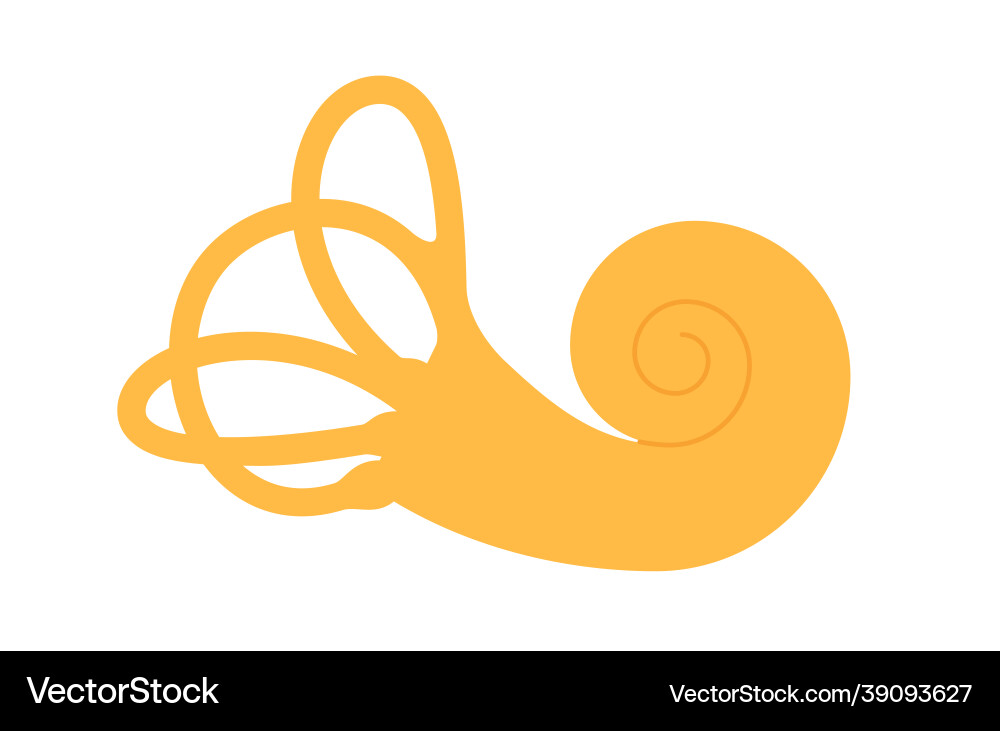 Vestibular apparatus anatomy Royalty Free Vector Image