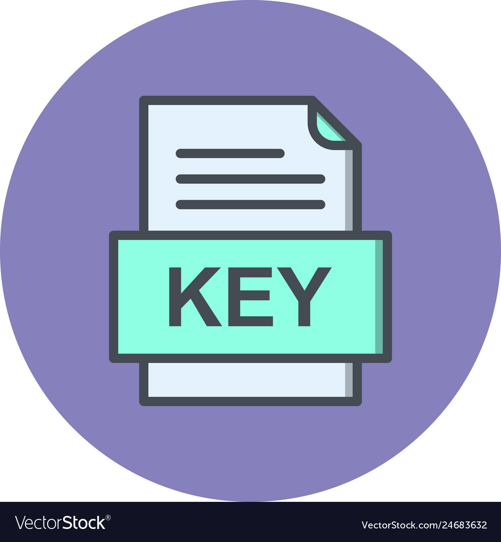 Key file document icon Royalty Free Vector Image