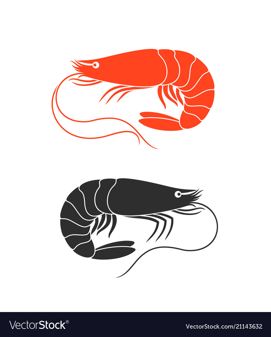 Prawns Royalty Free Vector Image - VectorStock