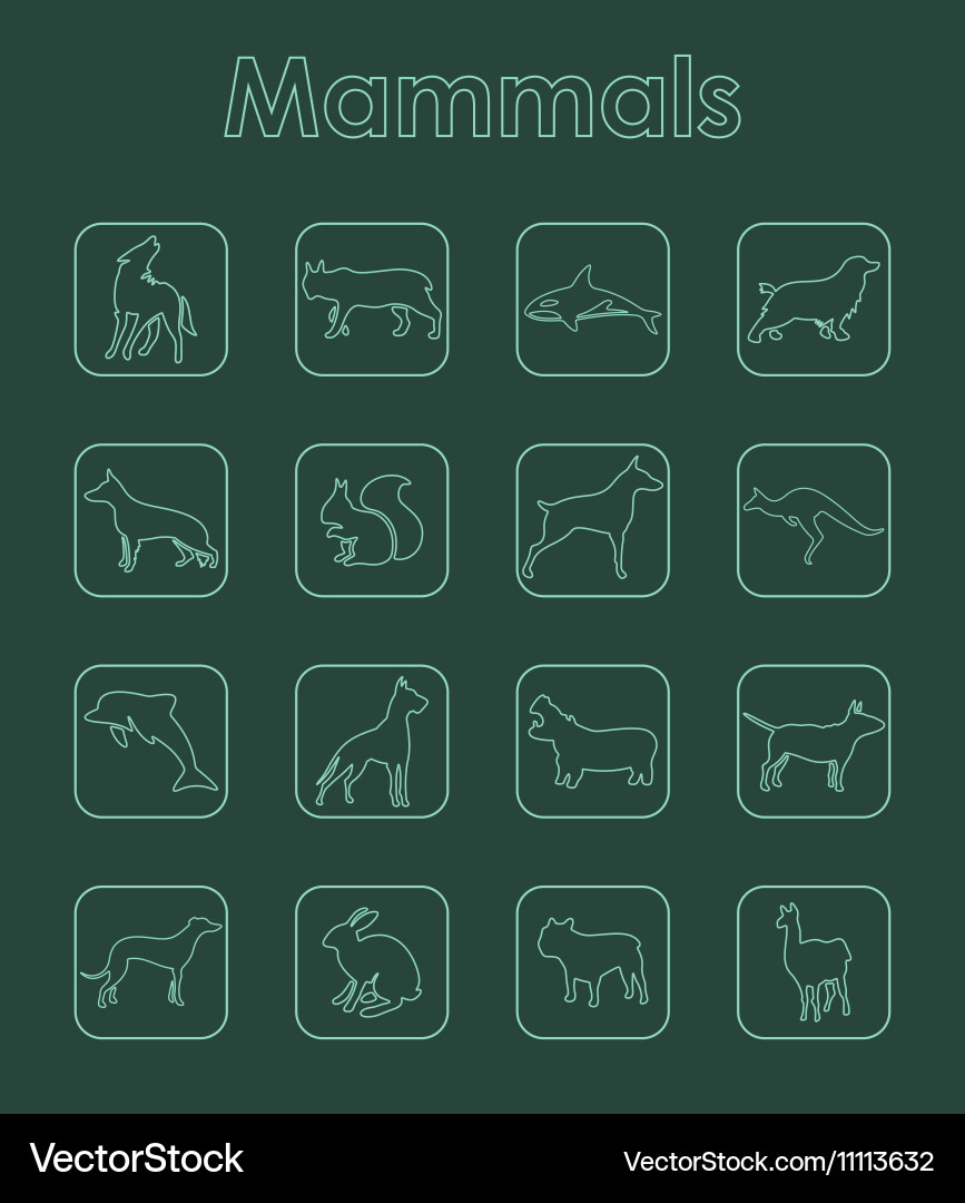 Set of mammals simple icons Royalty Free Vector Image