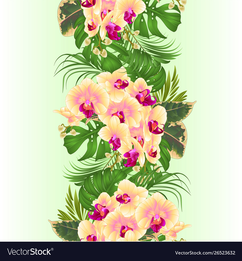 Vertical border seamless background Royalty Free Vector