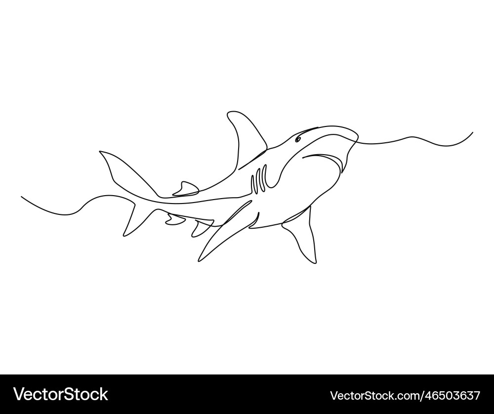 Continuous one line drawing of shark fish simple Vector Image