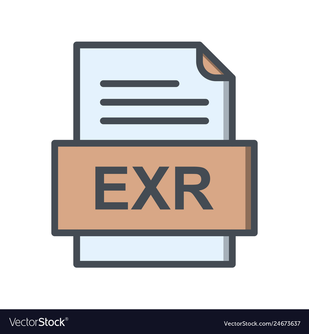 Exr file document icon Royalty Free Vector Image