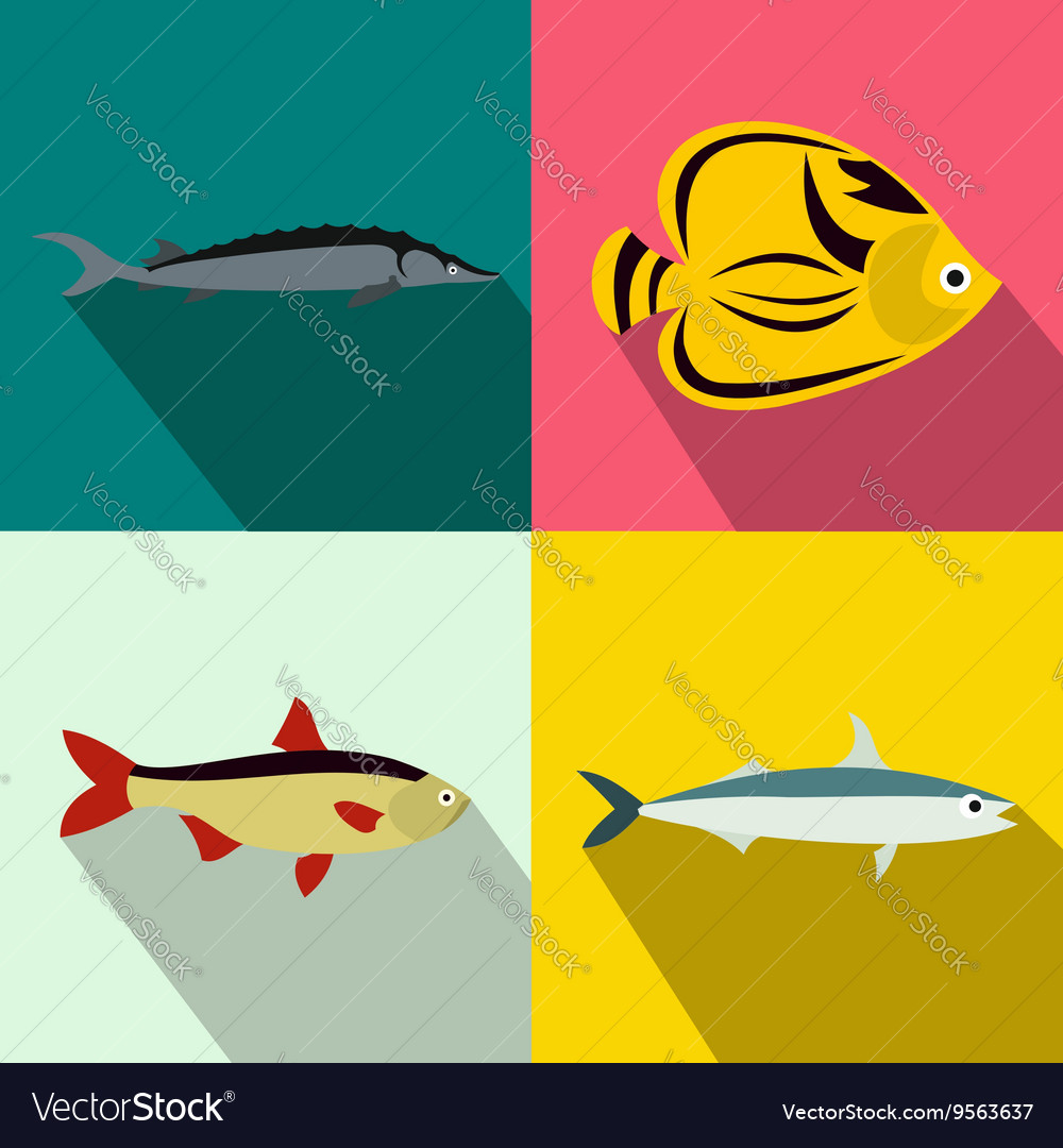Fish banners set flat style Royalty Free Vector Image