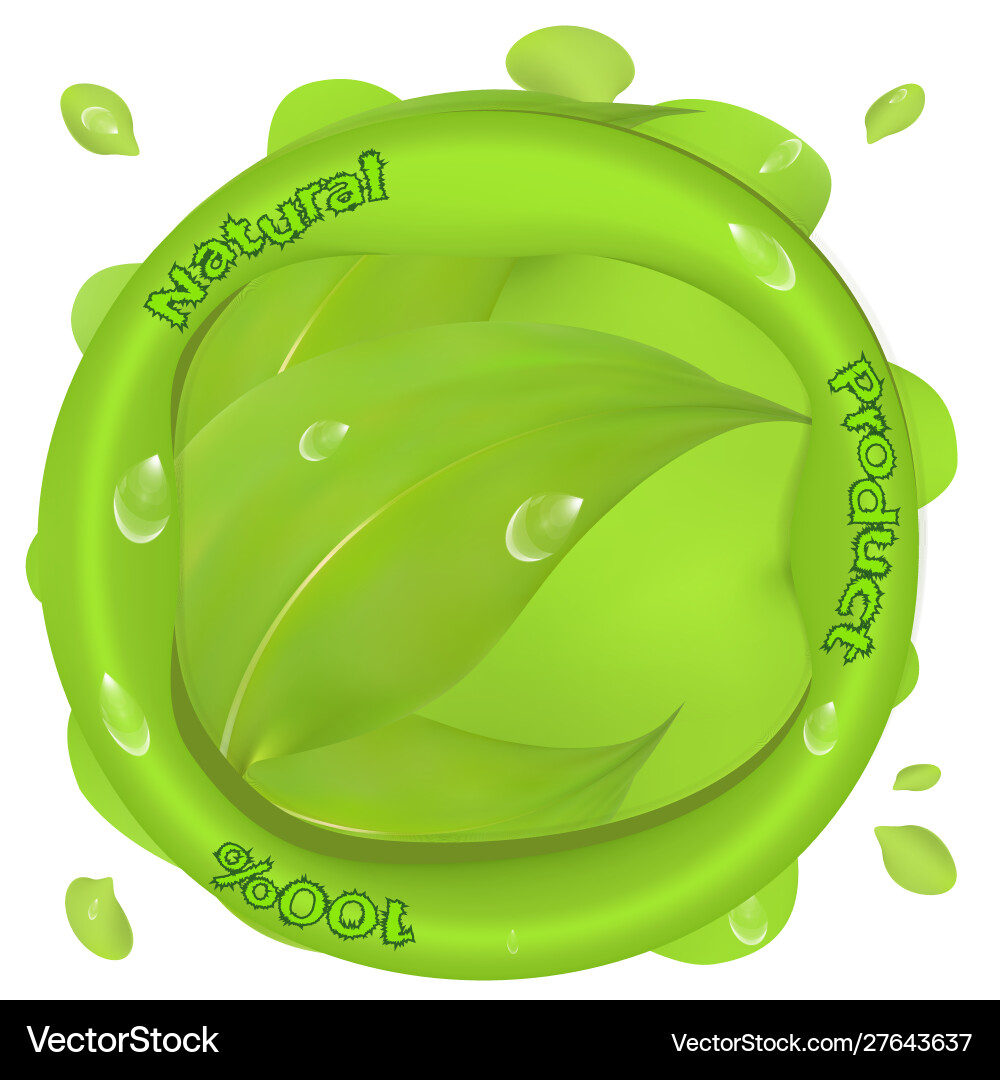 Green round blot logo with leaves and branches Vector Image