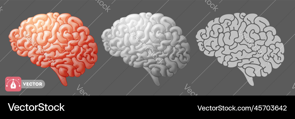 Brain 3d icon set Royalty Free Vector Image - VectorStock