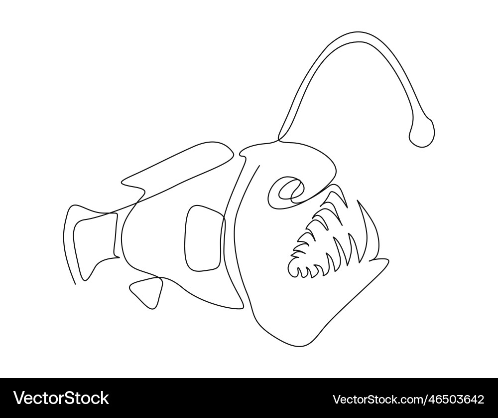 Continuous one line drawing of angler fish Vector Image