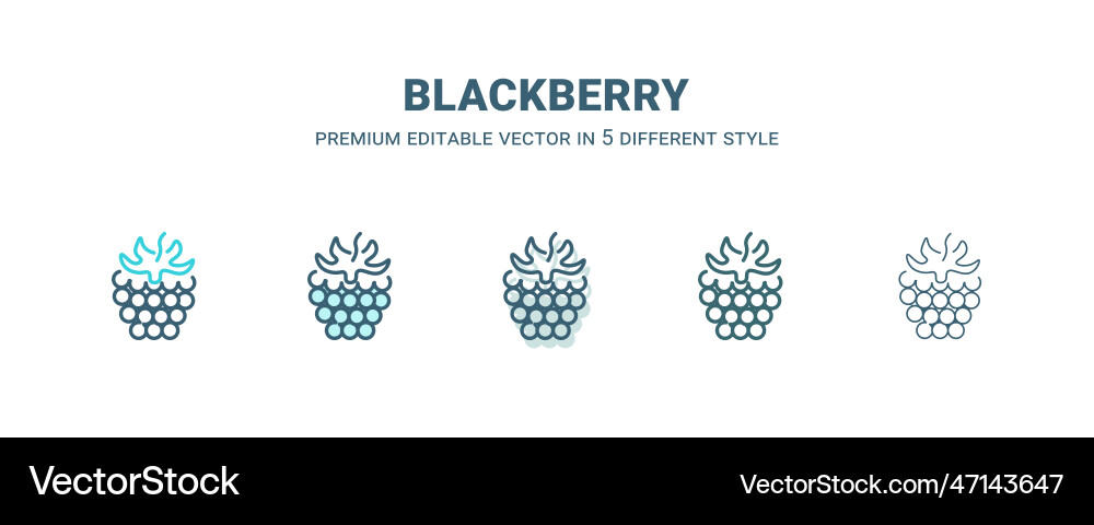 Blackberry icon in 5 different style outline Vector Image