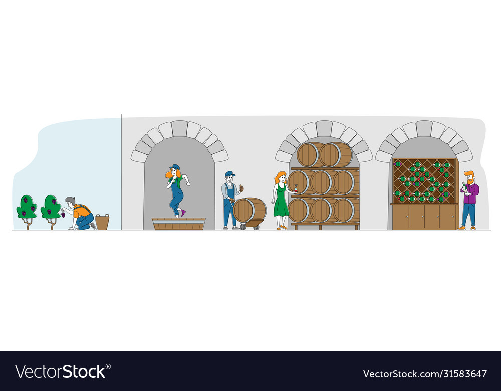 Winemaking wine producing and drinking concept Vector Image