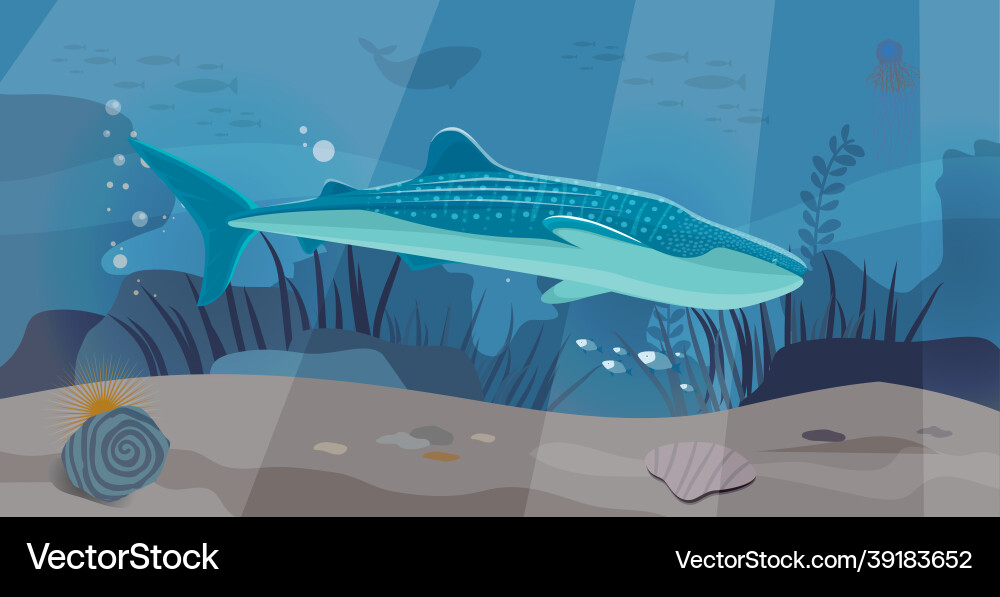 Aquatic world ocean floor with algae and corals Vector Image