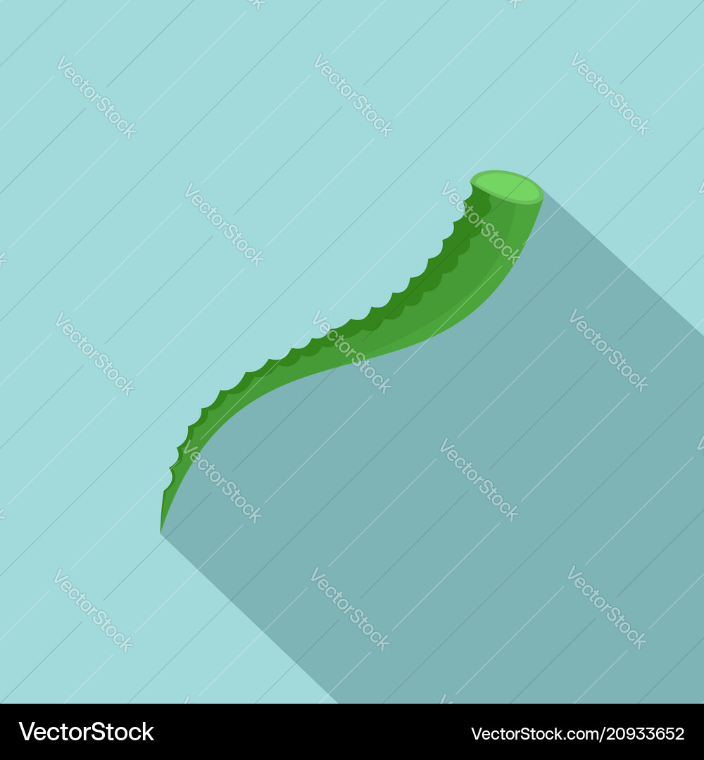 Piece of aloe icon flat style Royalty Free Vector Image