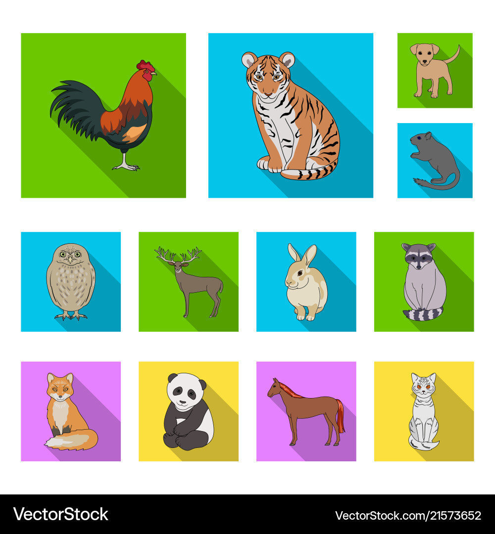 Realistic animals flat icons in set collection Vector Image