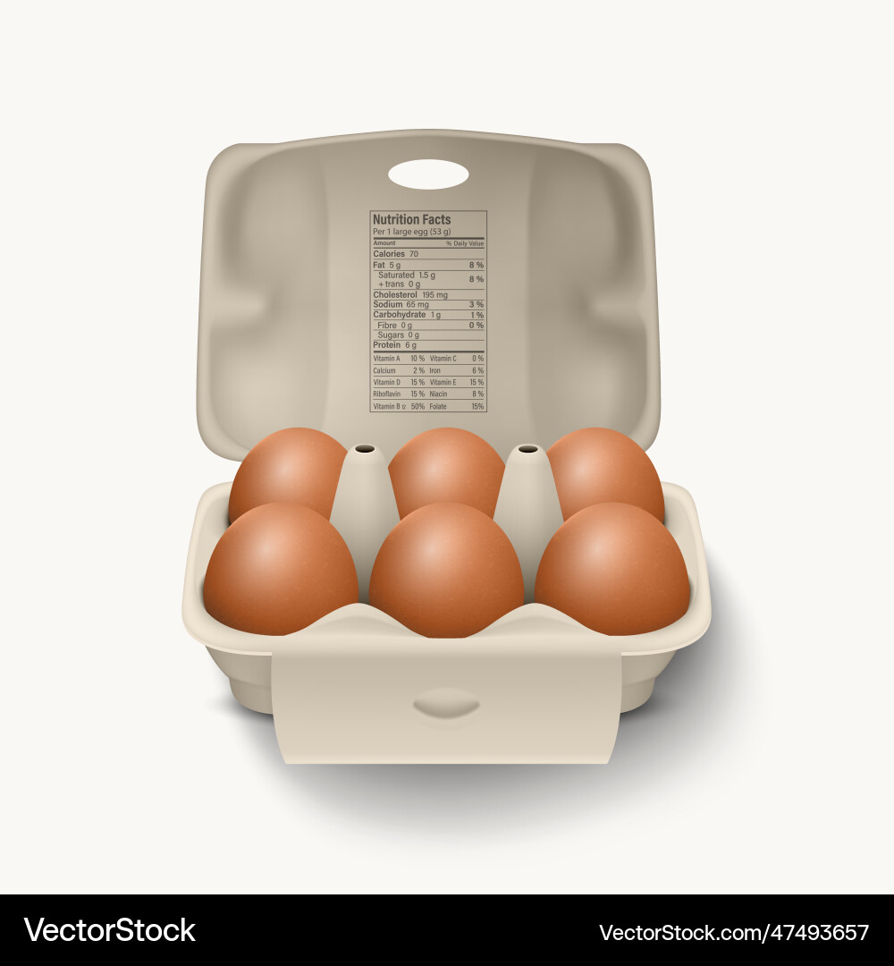 6 six 3d realistic brown chicken eggs in Vector Image