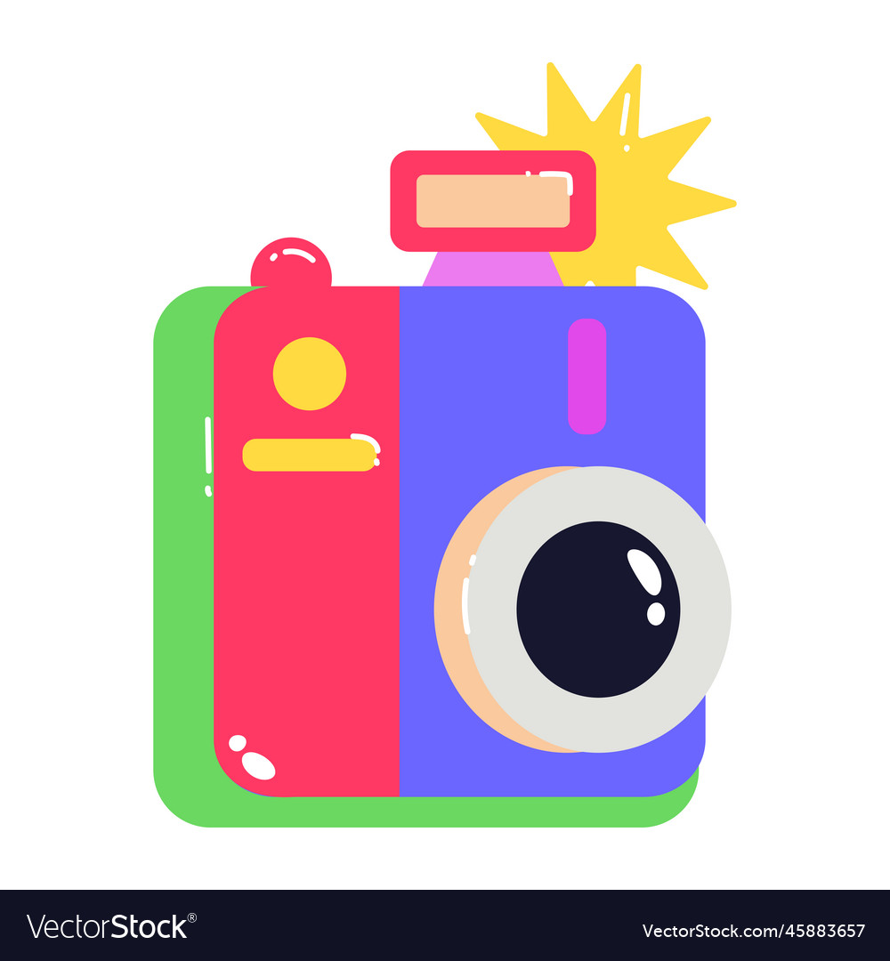 Camera Royalty Free Vector Image - VectorStock