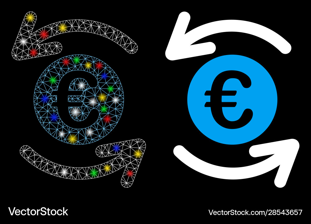 Flare mesh network update euro balance icon Vector Image