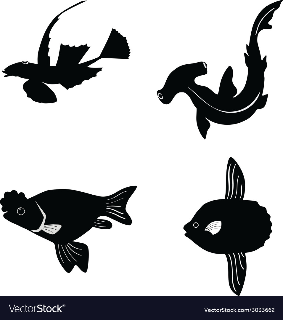 Fish Royalty Free Vector Image - VectorStock