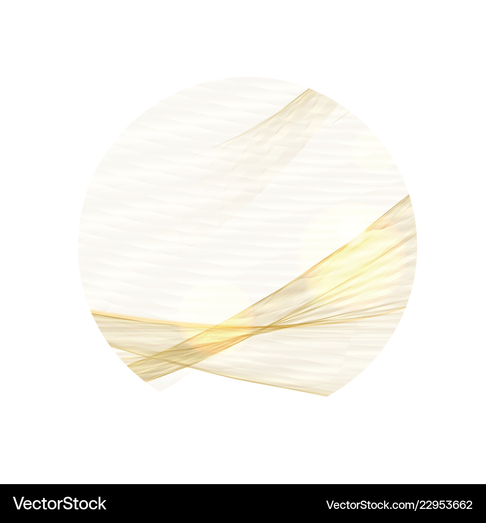 Shining golden lines over white background Vector Image