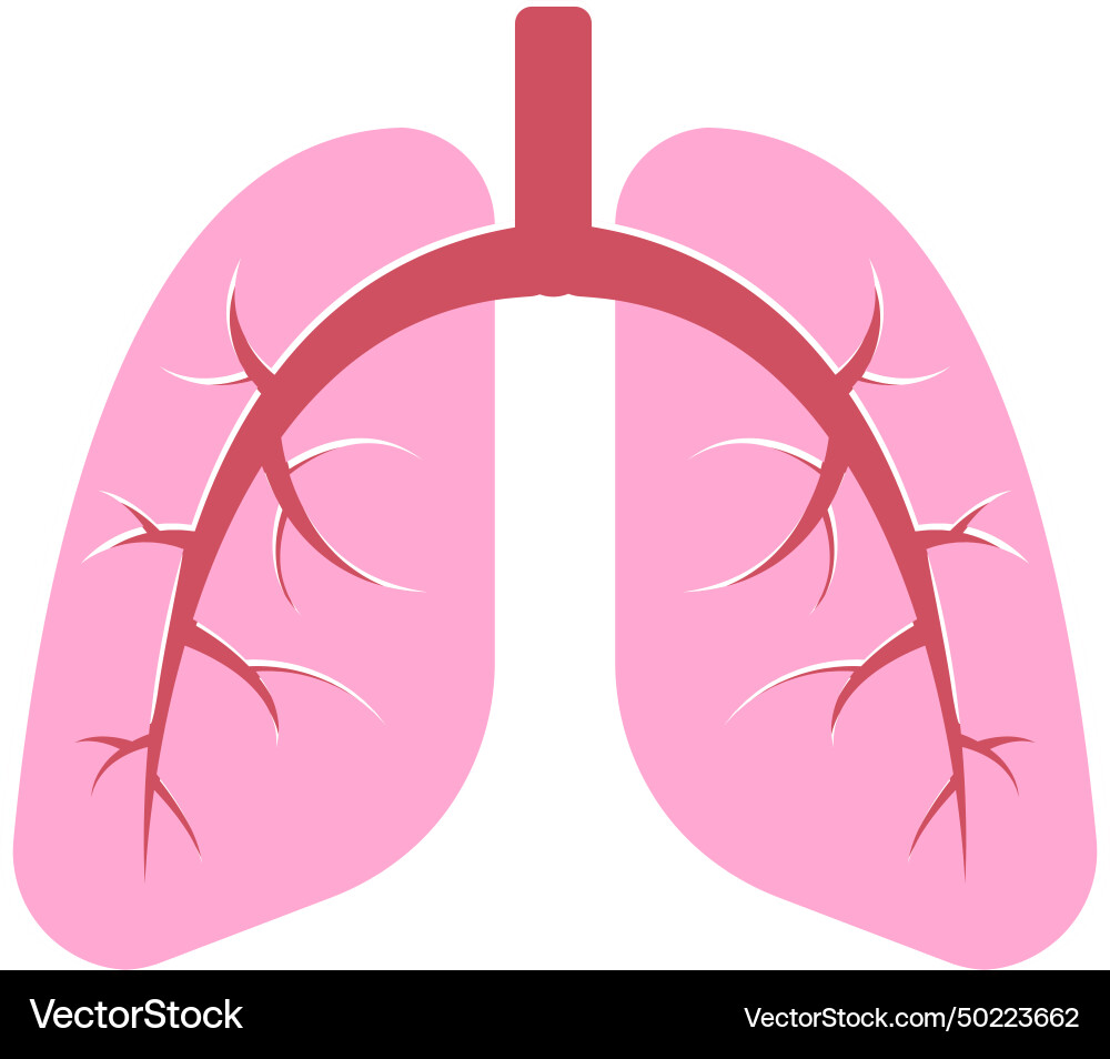 Simple human lungs graphic pink color isolated Vector Image