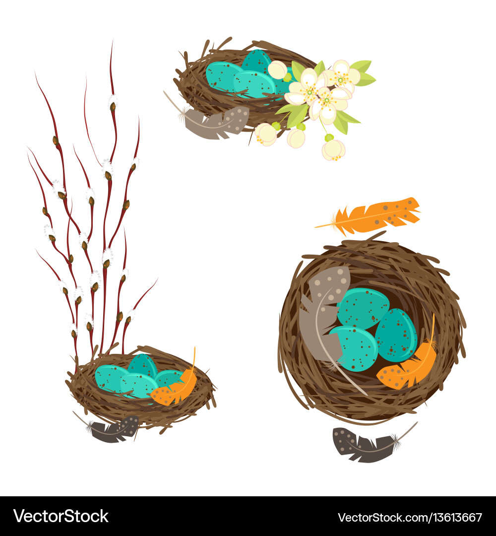 Birds nests with eggs set Royalty Free Vector Image