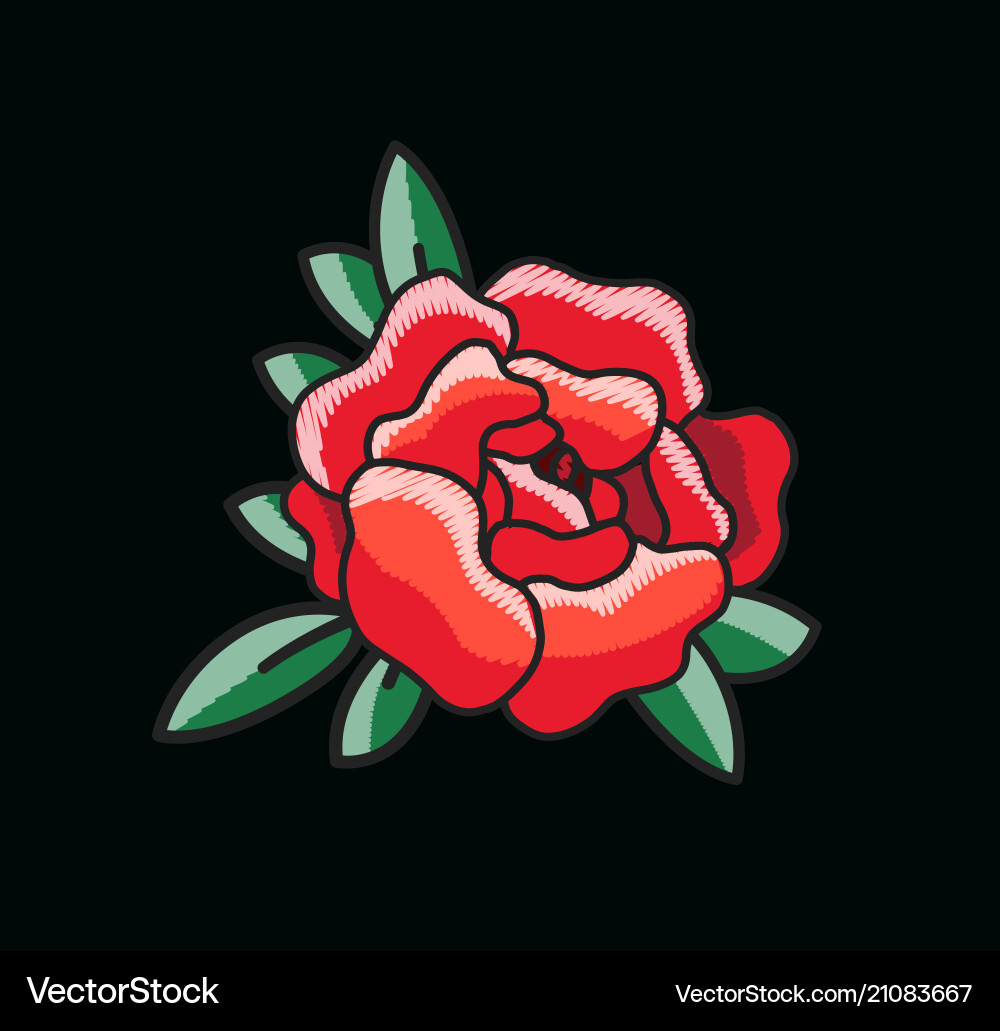 Closeup of single red rose on Royalty Free Vector Image