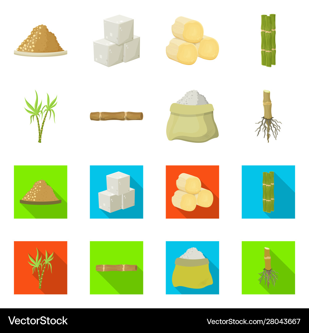 Isolated object tropical and produce symbol Vector Image