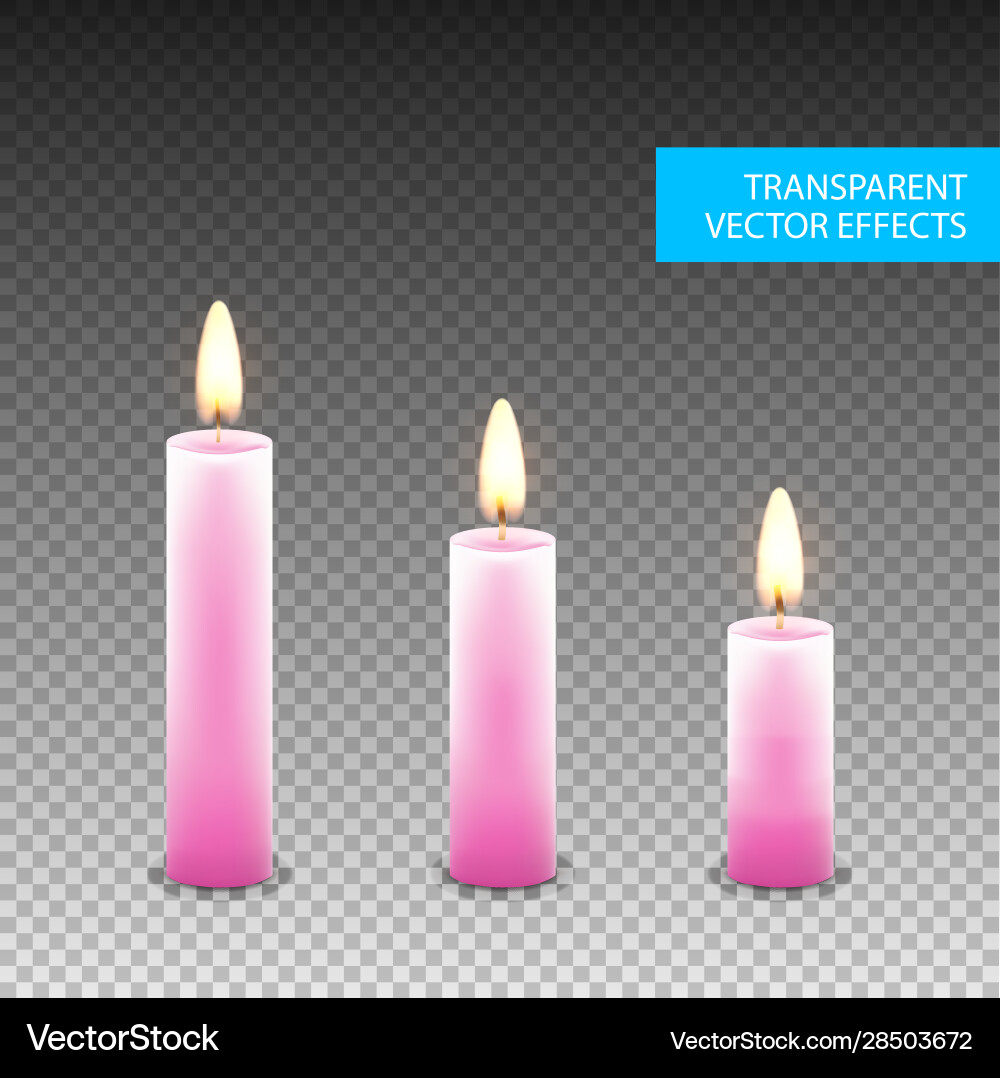 Candle wax isolated decoration candlelight Vector Image