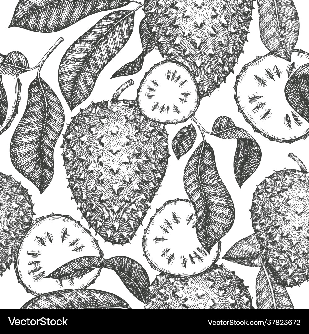 Hand drawn sketch style soursop fruit seamless Vector Image