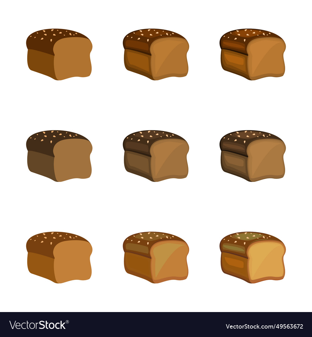 Multigrain bread Royalty Free Vector Image - VectorStock