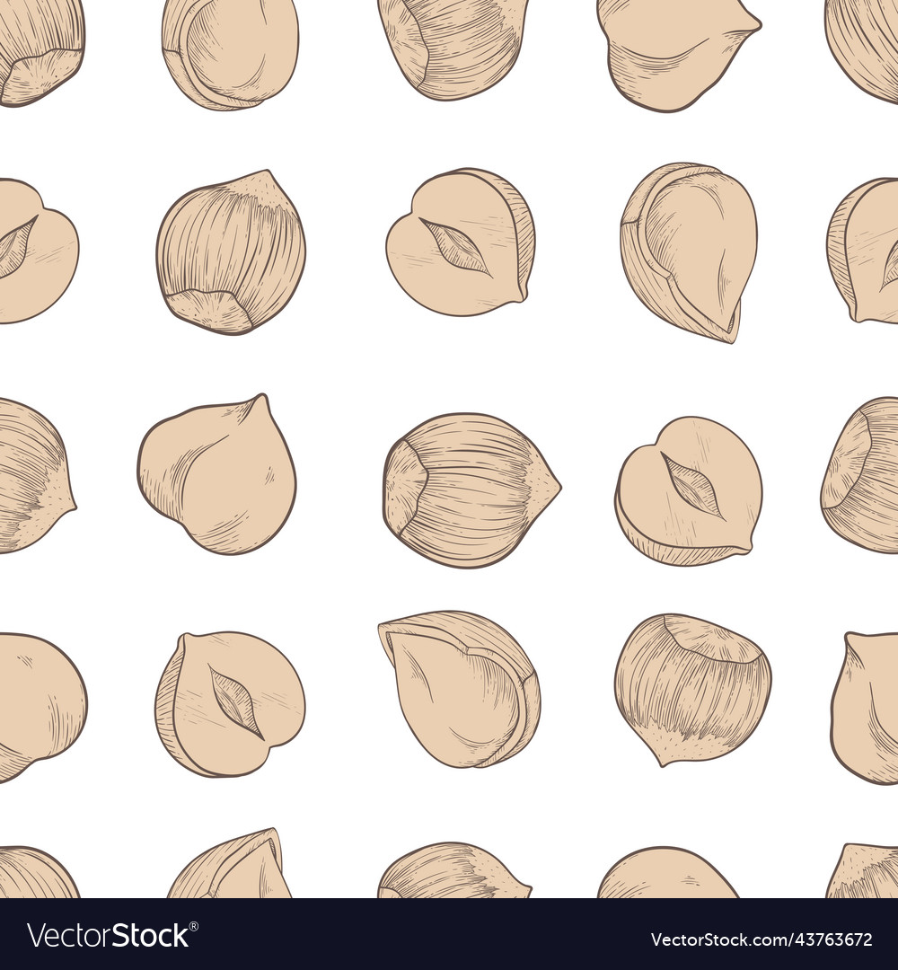 Seamless hazelnut pattern with several fruit nuts Vector Image
