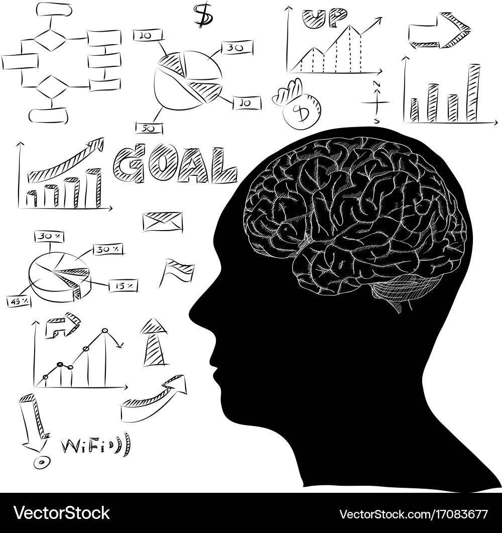 Human brain with infographic diagram for business Vector Image