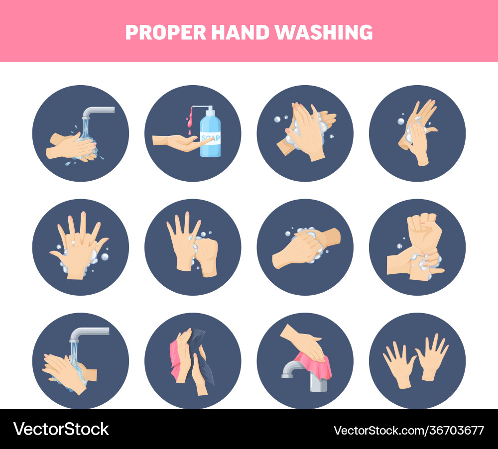Medical instruction stages proper care hands Vector Image