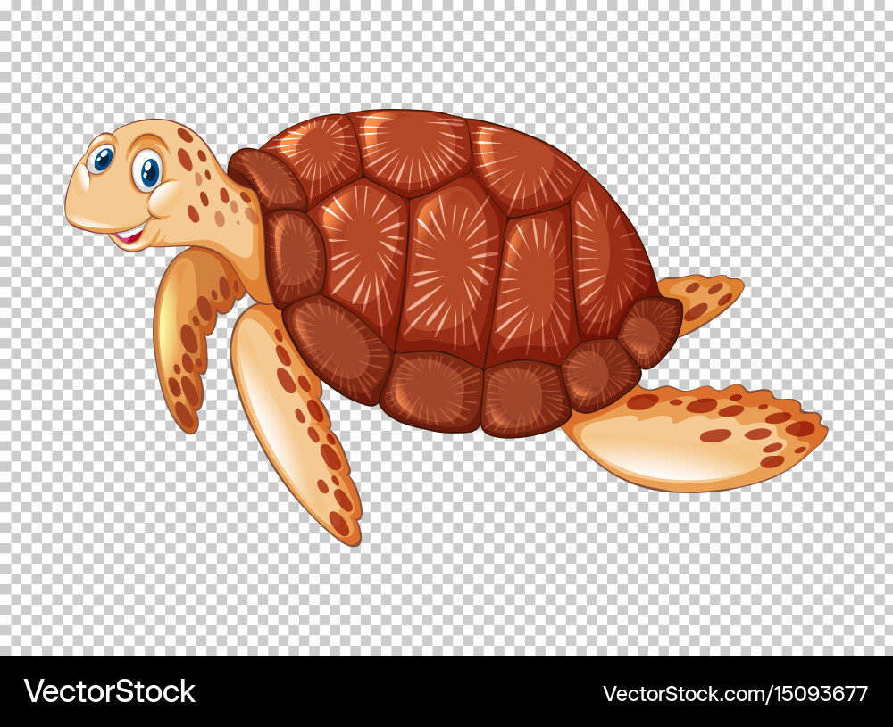 Sea turtle swimming on transparent background Vector Image