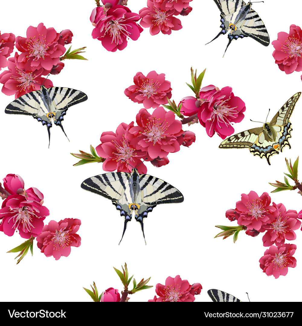 Spring flowering butterflies and flowers Vector Image