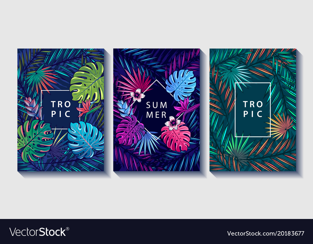 Tropical leaves and flowers design posters set Vector Image